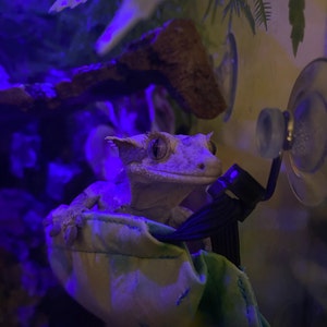 Repti Vent DIY Reptile Threaded Terrarium Air Vents 2x Pack | Etsy