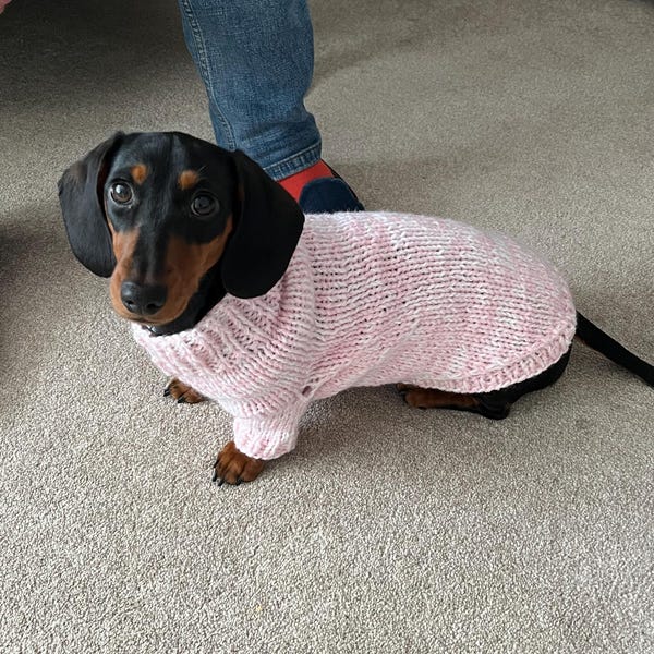 Dog Harness / Dog Collar / Cat Harness / Knitted Harness / Choke Free ...