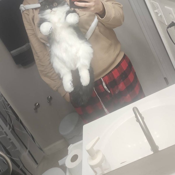 Mini Cat Backpacks-handmade Realistic Stuffed Cat Companion Gift for ...