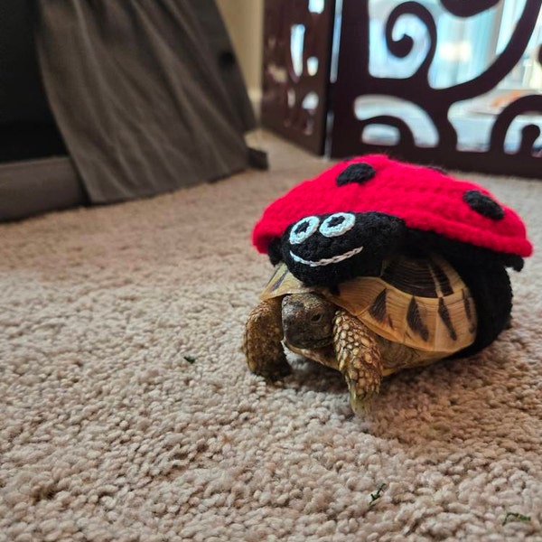 Crochet Tortoise Tuxedo: Handmade Reptile Costume With Rose - Etsy