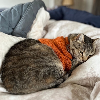 MADE TO ORDER Piña Colada Cat Hat Hats for Cats Costumes for - Etsy