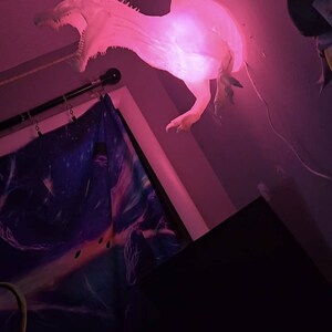 Tyrannosaurus Rex Wall Hanging 3D Printed Accent Lamp, T-rex, Novelty ...