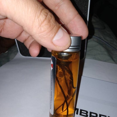 Resident Evil Ne-a TYPE Nemesis Parasite. - Etsy