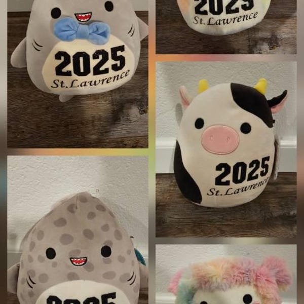 Personalized Graduation Squishmallows, Class of 2025, Unique Gift ...