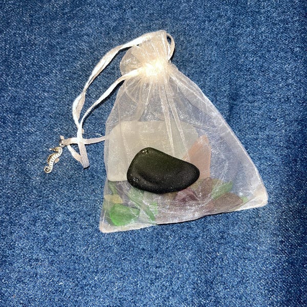 Psychedelic Knobbed Whelk Planter, Air Plant, Decoupage, Tie Dye, UV ...