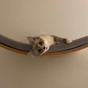 Wall Step Wall Steps Cat Step Cat Steps Cat Wall Stair Cat Wall Stairs ...