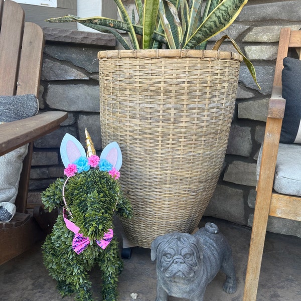 Meet Cooper the Playful Pup- Fun, Faux Plant, Topiary Dogs! Enhance ...