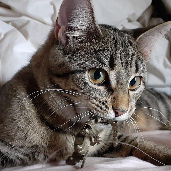Kitty Lizard Articulated Cat Toy - Etsy
