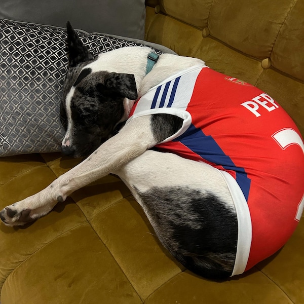 Barcelona Personalised Pet Tank Top FC 24/25 With Original FC Logo (dog ...