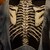Ribcage Back Patch, Ribcage, Skeleton Patch, Bones Patch, Cloth Patch, Spine, Back Patch, Canvas ...