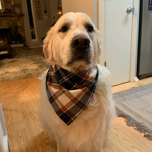 Red Buffalo Check Paw Prints on Black Cotton Pet - Etsy