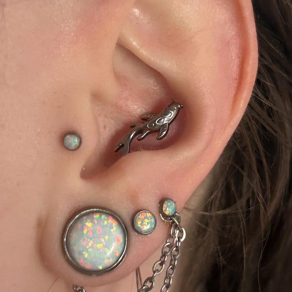 Lenticular Winking Eye Plugs 11/16" (18mm) PAIR Stainless Screw Tunnel ...