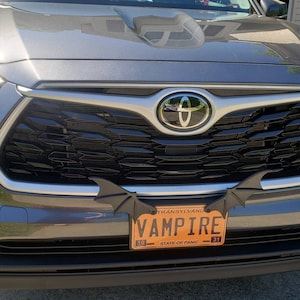 License Plate Bat Wings universal Fit - Etsy