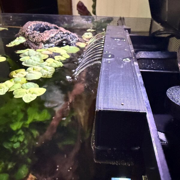 Finnex Stingray Original LED Light Riser, Attractive Stable Elevated ...