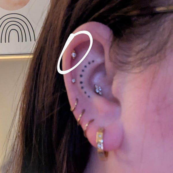 18G Hummingbird Cartilage Hoop Earring • Upper Helix Earring • Lower ...