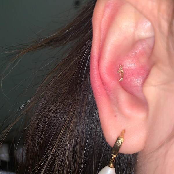 14k Solid Gold Koi Fish Cartilage Earring Tiny Tragus Stud Helix Conch ...