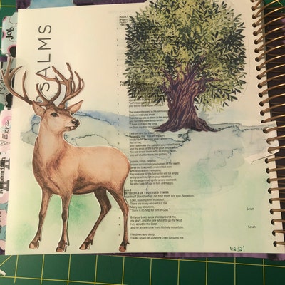 Olive Tree, Trees of the Bible, Beautifulgoodnews, Bible Journaling ...