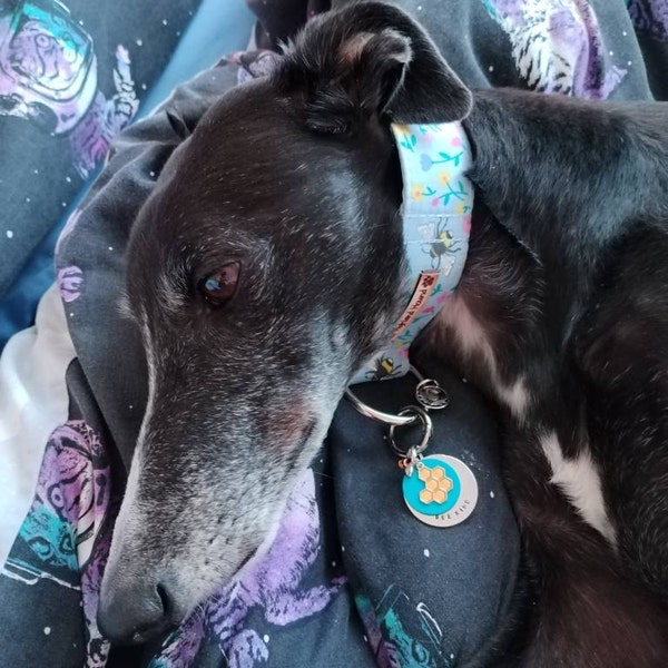 Dog Tag, Pet ID Tag, Dog Name Tag, Dog ID Tag Keyring, Brass ...