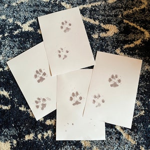 Inkless Pet Paw Print Kit Get High-quality Paw Prints With Zero Ink Non ...
