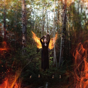 Fire/phoenix Wings Overlay Real Fire Wings for Your Creative Images - Etsy