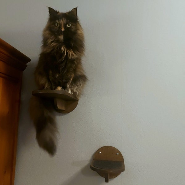 Long Cat Steps/ladder/shelves (25cm/10in) - Elevate Your Feline Friend ...