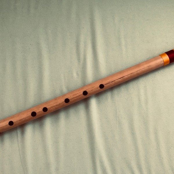 TRAVEL SITAR Kinnar Seen Style Black Pearl - Etsy