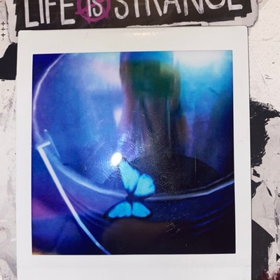 Life is Strange Prop: the Deer Instant Photo - Etsy