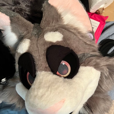 Laser Cut Acrylic Fursuit Eyes Kit Comes With Round Pupil Mesh and EVA ...