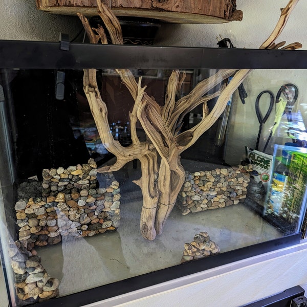 Handmade Natural Fossil Tank Decor - Swim Through Tunnel Hide Aquarium ...
