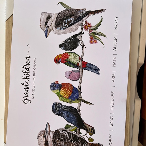 Australian Native Bird Print Kookaburra Black Cockatoo Rainbow Lorikeet ...