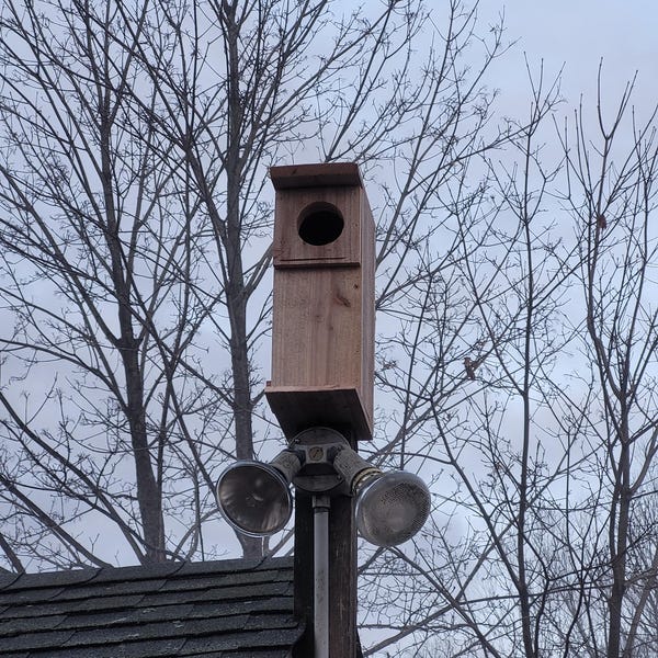 Barred or Great Horned Owl Nesting Box With Free Shipping - Etsy