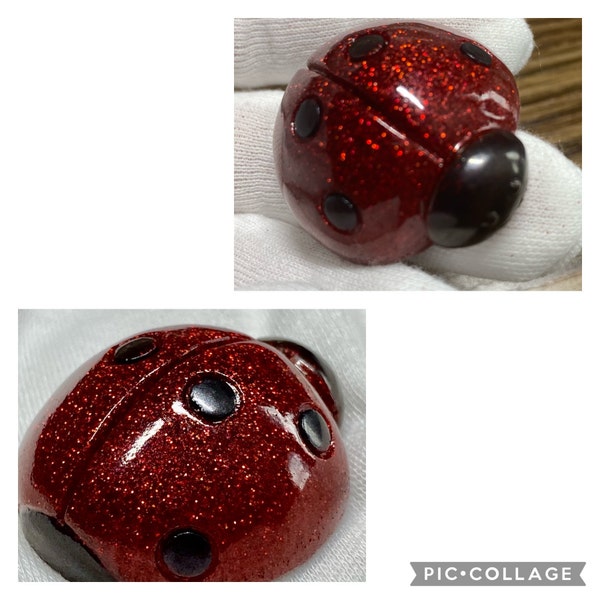 Ladybug Resin Mold Silicone Mold - Make Your Own Insect Bug Beetle ...