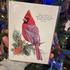 Sympathy Cardinal Pair Watercolor- Psalm 34:18 Scripture Cards, Magnets ...