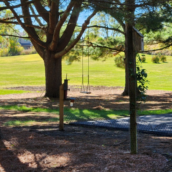 Ash Bench Style Swing | Tree Swing | Rope Swing | Backyard Swing ...