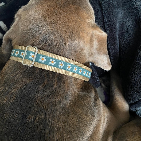 UGLY Bells for Pet Collar Chipped Jingle Bell for Cat Collar Character ...