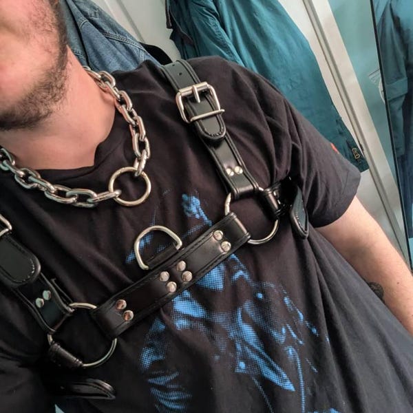 Cat of 9 Tails Genuine Thick Leather Flogger Red Roses & Petals Flowers ...