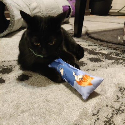 Catnip Dakimakura Anime Body Pillow for Cats Handmade Catnip Waifu ...