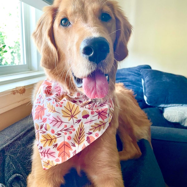 Fall Dog Bandana/white With Fall Leaves Dog/blush With Pumpkins/pet ...