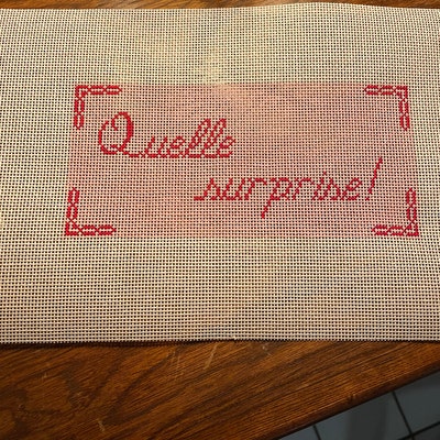 New York Public Library Lion Handpainted Needlepoint Canvas - Etsy