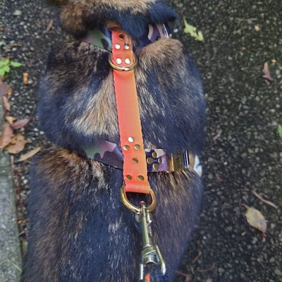 Bringsel Alert Biothane Vegan Leather Made to Order 20 Colours - Etsy