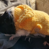 DIGITAL DOWNLOAD PDF Guinea Pig Crochet Pattern Decorative Diaper Style ...
