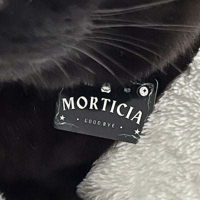 Witchy Pet ID Tag, Custom Personalized Dog or Cat Tags, Mystical Gothic ...