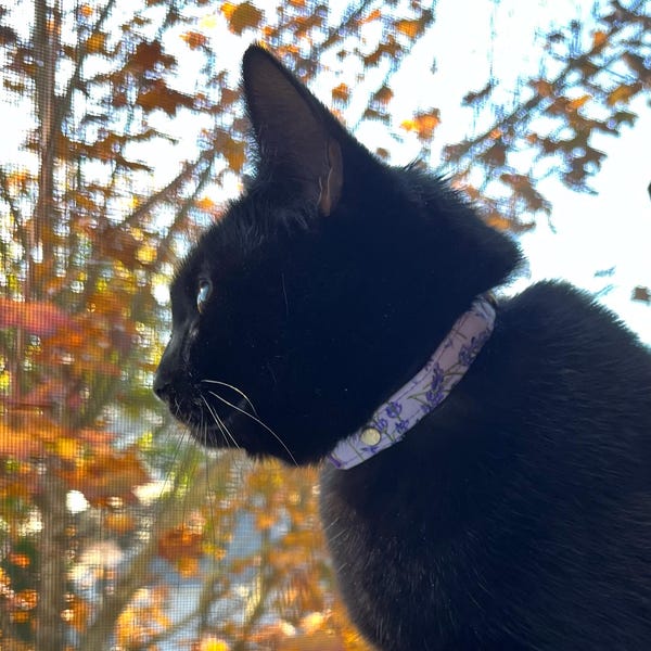 Cat Collars THISTLE Handmade Breakaway Soft Cat Collar - Etsy