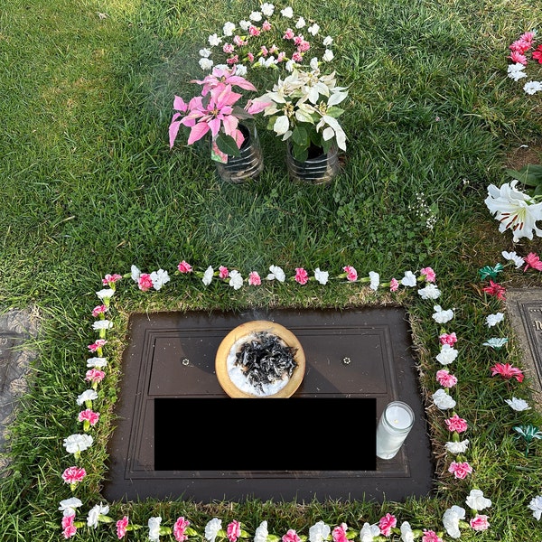 5 Pack Arizona Creosote Bush 9" Smudging Sticks Free U.S. Shipping - Etsy