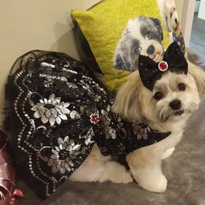Cowgirl Fancy Dress Costume for All Small Breed Dogs, Designer Dog ...