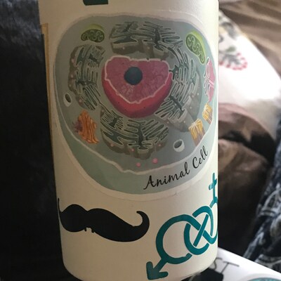 Animal Cell Cross Section Vinyl Sticker, Unique Science Decal ...
