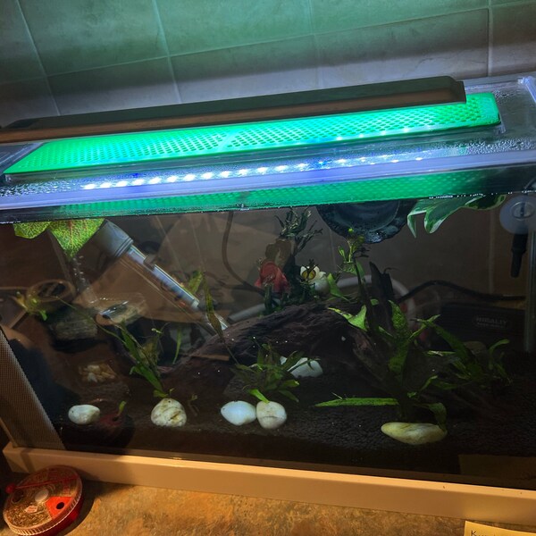 Fluval Spec V/ Evo 5 Lid Insert - 5g - Etsy