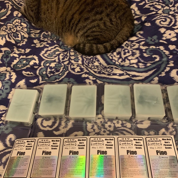 MTF Transgender Pride, Trans Flag, Transgender Pride Accessories ...