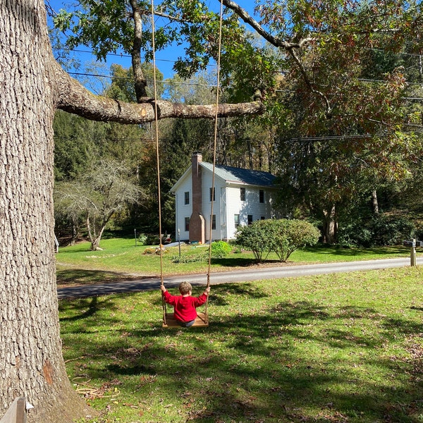 Ash Bench Style Swing | Tree Swing | Rope Swing | Backyard Swing ...