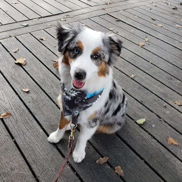 SpottedDogShop - Etsy